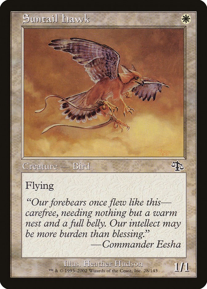Suntail Hawk - Judgment - Magic: The Gathering