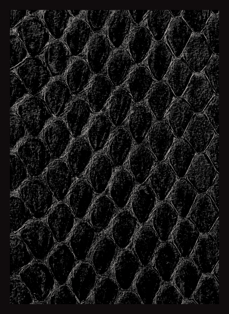 Gloss Sleeve - Dragon Hide Black (50-Pack) - Legion Premium Supplies ...