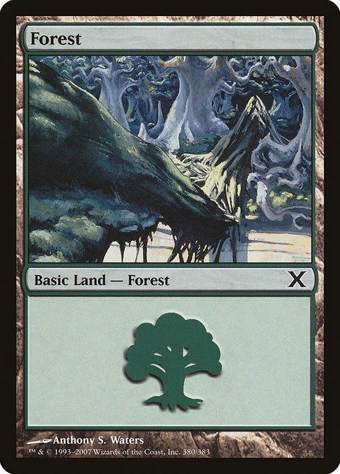 Forest (380) - 10th Edition - Magic: The Gathering