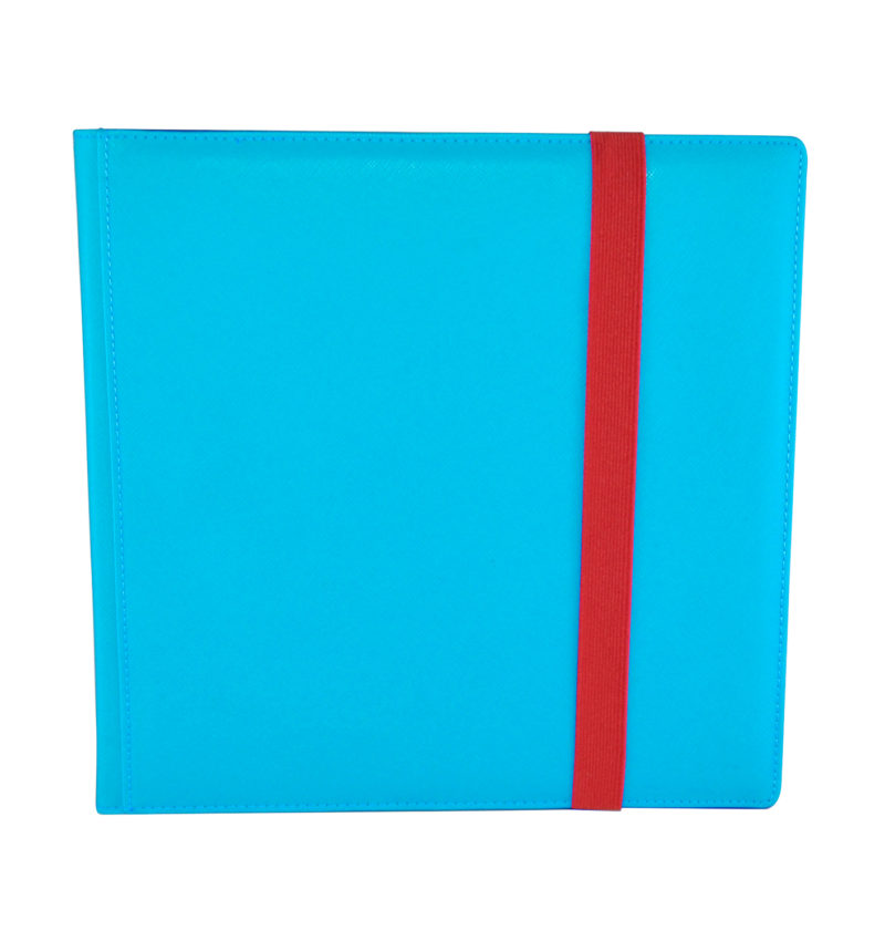 The Dex Binder 12-Pocket - Blue - Dex Protection Storage Albums ...
