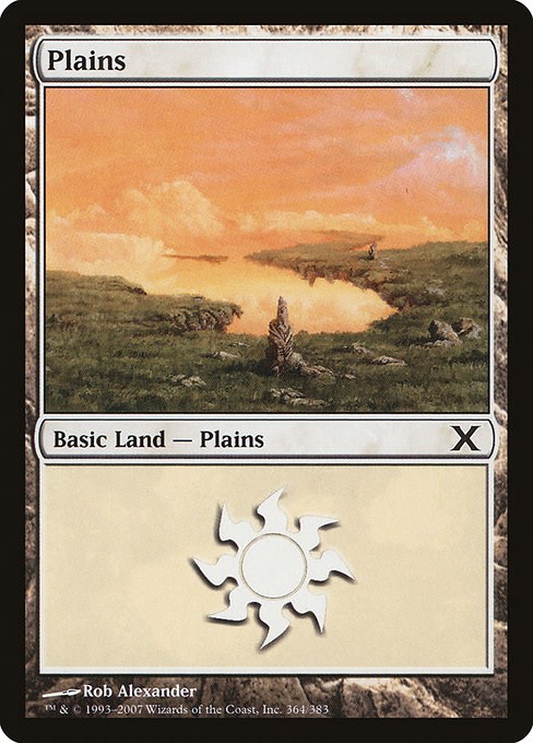 Plains (364) - 10th Edition - Magic: The Gathering