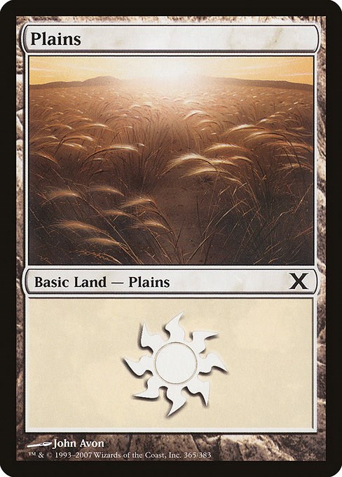 Plains (365) - 10th Edition - Magic: The Gathering
