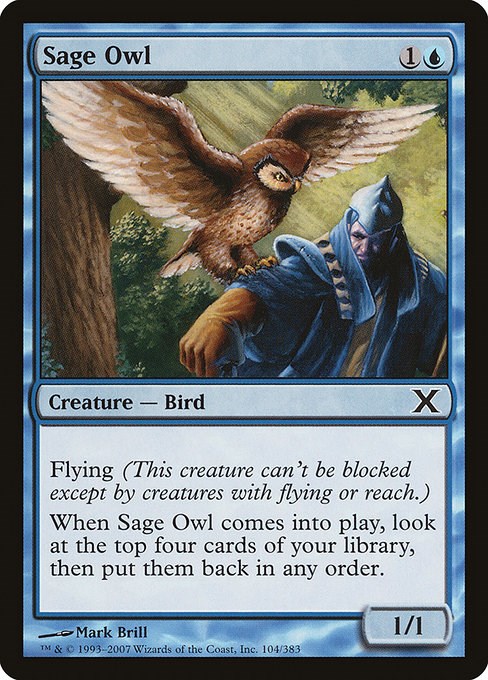 Sage Owl - 10th Edition - Magic: The Gathering