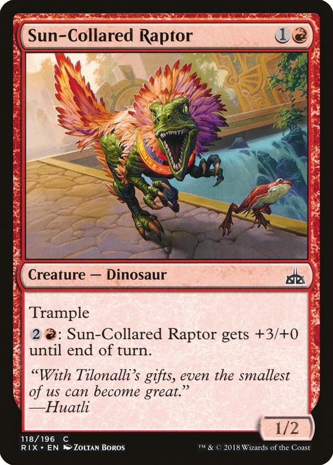 Sun-Collared Raptor - Rivals of Ixalan - Magic: The Gathering