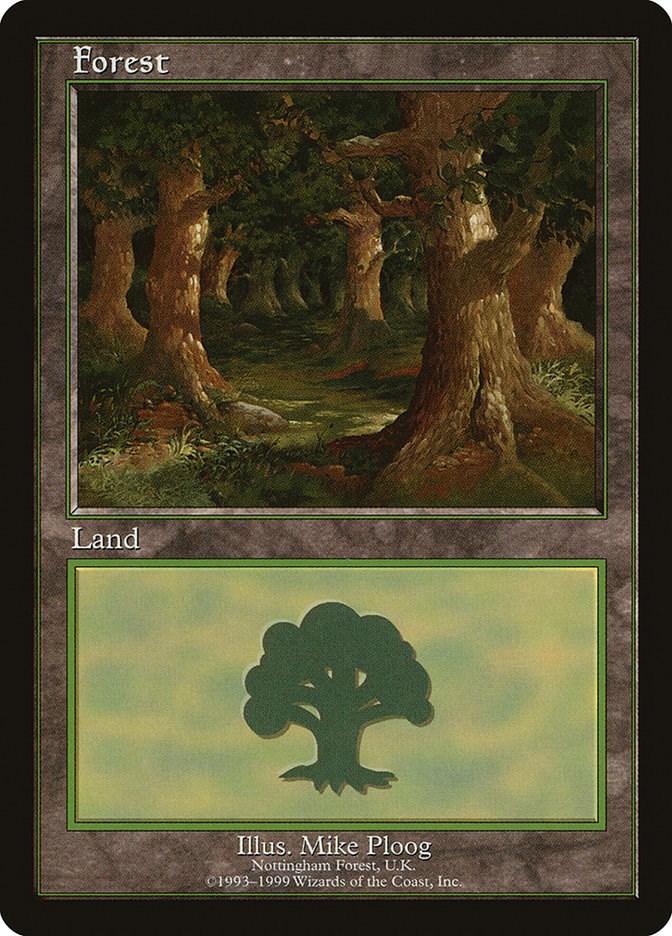 Forest - Nottingham - European Lands - Magic: The Gathering