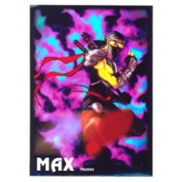 Kung Fu Ninja Guy Max Gloss Holo Card Sleeves - Standard (50-Pack ...