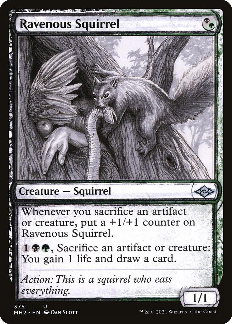 Ravenous Squirrel (Showcase) - Modern Horizons 2 - Magic: The Gathering