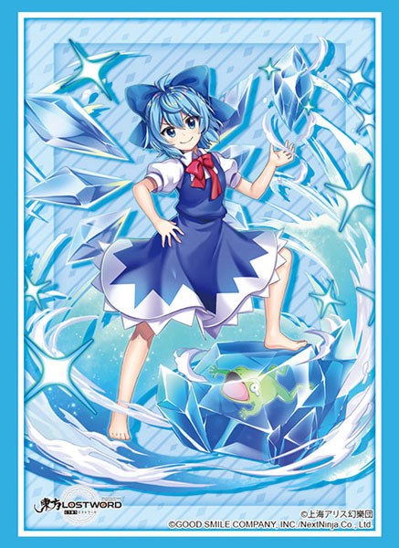 Bushiroad Sleeve Collection HG Vol.2895: Touhou LostWord - Cirno (75 ...