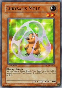Chrysalis Mole - Tactical Evolution - YuGiOh