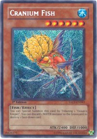 Cranium Fish - Tactical Evolution - YuGiOh
