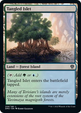 Tangled Islet - Dominaria United - Magic: The Gathering