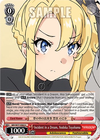 Incident in a Dream, Nodoka Toyohama - Rascal Does Not Dream of a ...