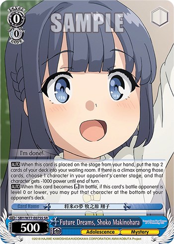 Future Dreams, Shoko Makinohara (SR) - Rascal Does Not Dream of a ...