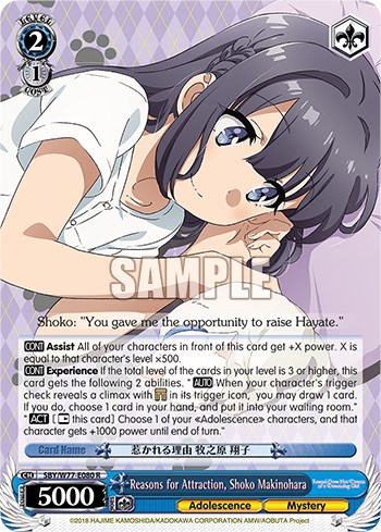 Reasons for Attraction, Shoko Makinohara - Rascal Does Not Dream of a ...