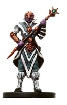 Spellscale Sorcerer - War of the Dragon Queen - D & D Miniatures