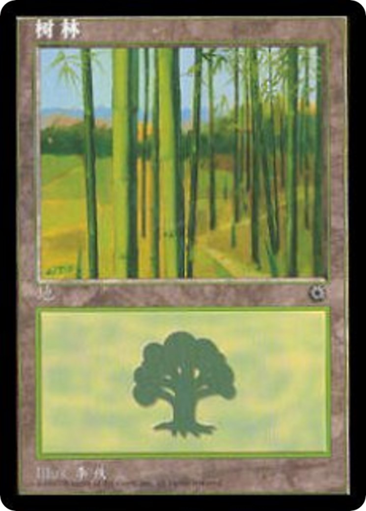 Forest (CS Alternate Art) (215s) - Portal - Magic: The Gathering