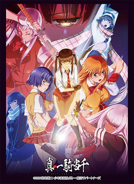Bushiroad Sleeve Collection HG Vol.3433: Shin Ikkitousen (75-Pack) - Bushiroad Card Sleeves ...
