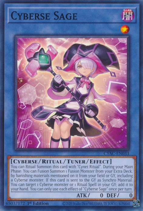 Cyberse Sage - Cyberstorm Access - YuGiOh
