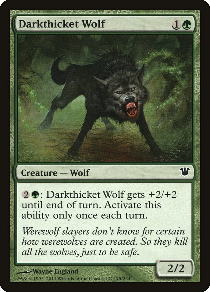 Darkthicket Wolf - Innistrad - Magic: The Gathering