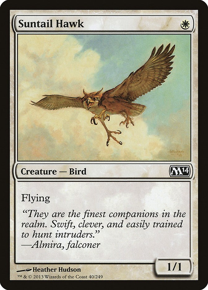 Suntail Hawk - Magic 2014 (M14) - Magic: The Gathering