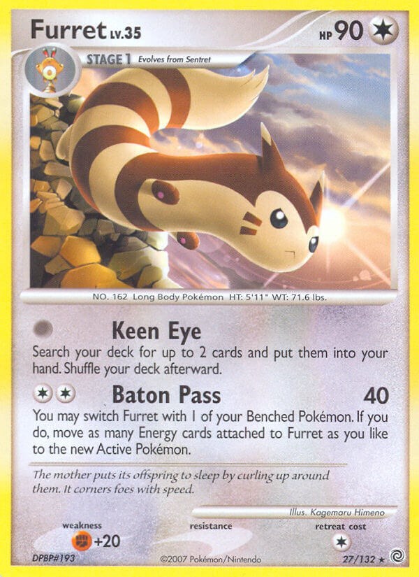 Furret Pokemon