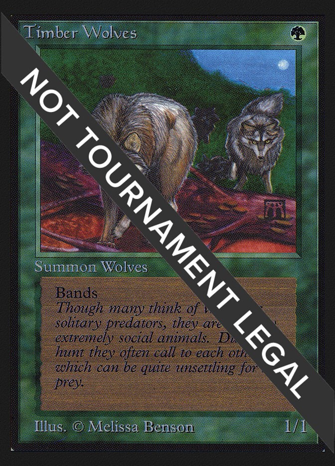 Timber Wolves (IE) - International Edition - Magic: The Gathering