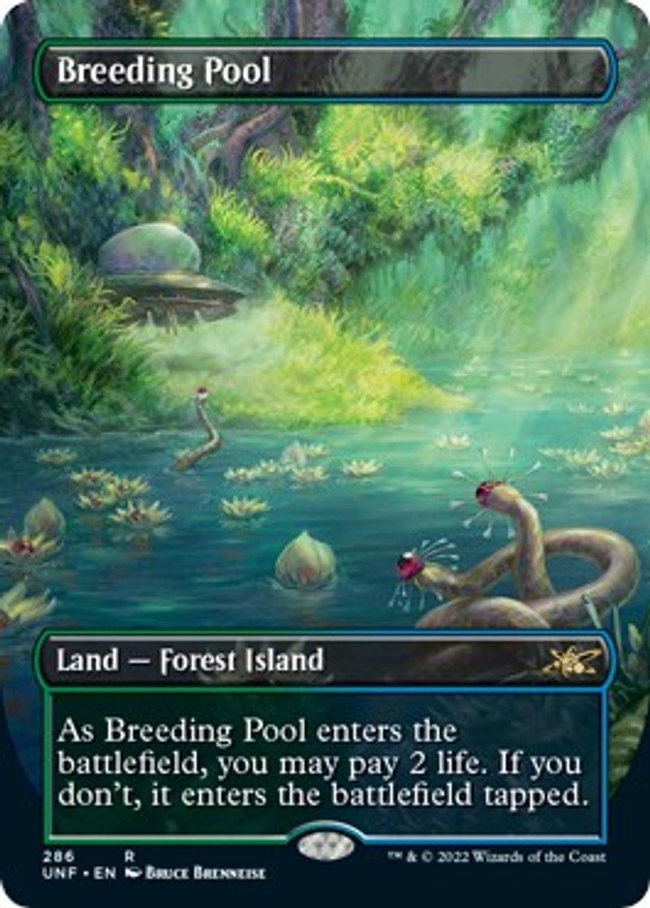 Breeding Pool (Borderless) - Unfinity - Magic: The Gathering