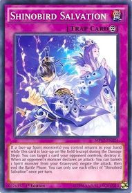 Shinobird Power Spot - Raging Tempest - YuGiOh