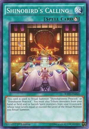 Shinobird's Calling - Raging Tempest - YuGiOh