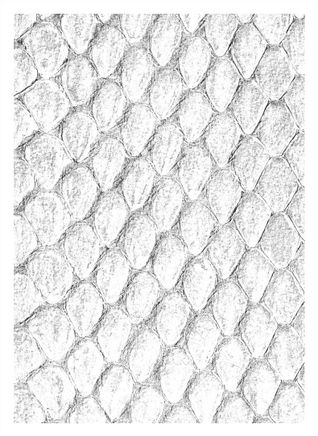 Gloss Sleeve - Dragon Hide White (50-Pack) - Legion Premium Supplies ...