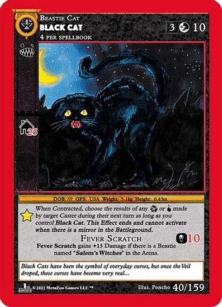 Black Cat - Cryptid Nation: First Edition - MetaZoo