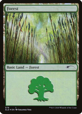 Forest (579) - Secret Lair Drop Series - Magic: The Gathering