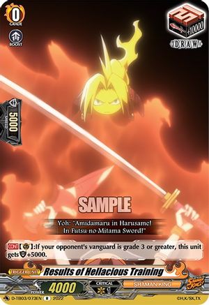 Results of Hellacious Training - D-TB03: Shaman King - Cardfight Vanguard