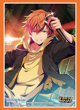 Bushiroad Sleeve Collection HG Vol.3447: HATSUNE MIKU: COLORFUL STAGE ...