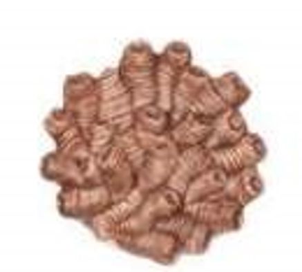 Rot Grub Swarm - Lords of Madness - D & D Miniatures