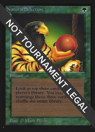 Natural Selection (IE) - International Edition - Magic: The Gathering
