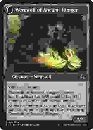 Sage of Ancient Lore - Shadows over Innistrad - Magic: The Gathering