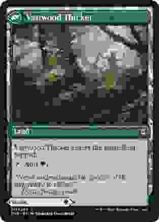 Vastwood Fortification - Zendikar Rising - Magic: The Gathering