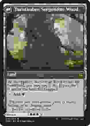 Turntimber Symbiosis - Zendikar Rising - Magic: The Gathering