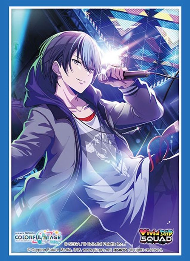 Bushiroad Sleeve Collection HG Vol.3448: HATSUNE MIKU: COLORFUL STAGE ...